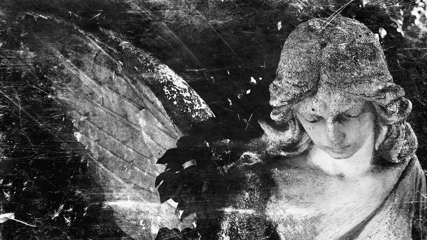 The Danger of Speaking Evil